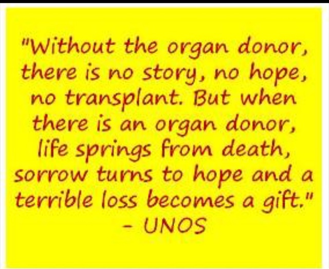 Organ Donation Quotes