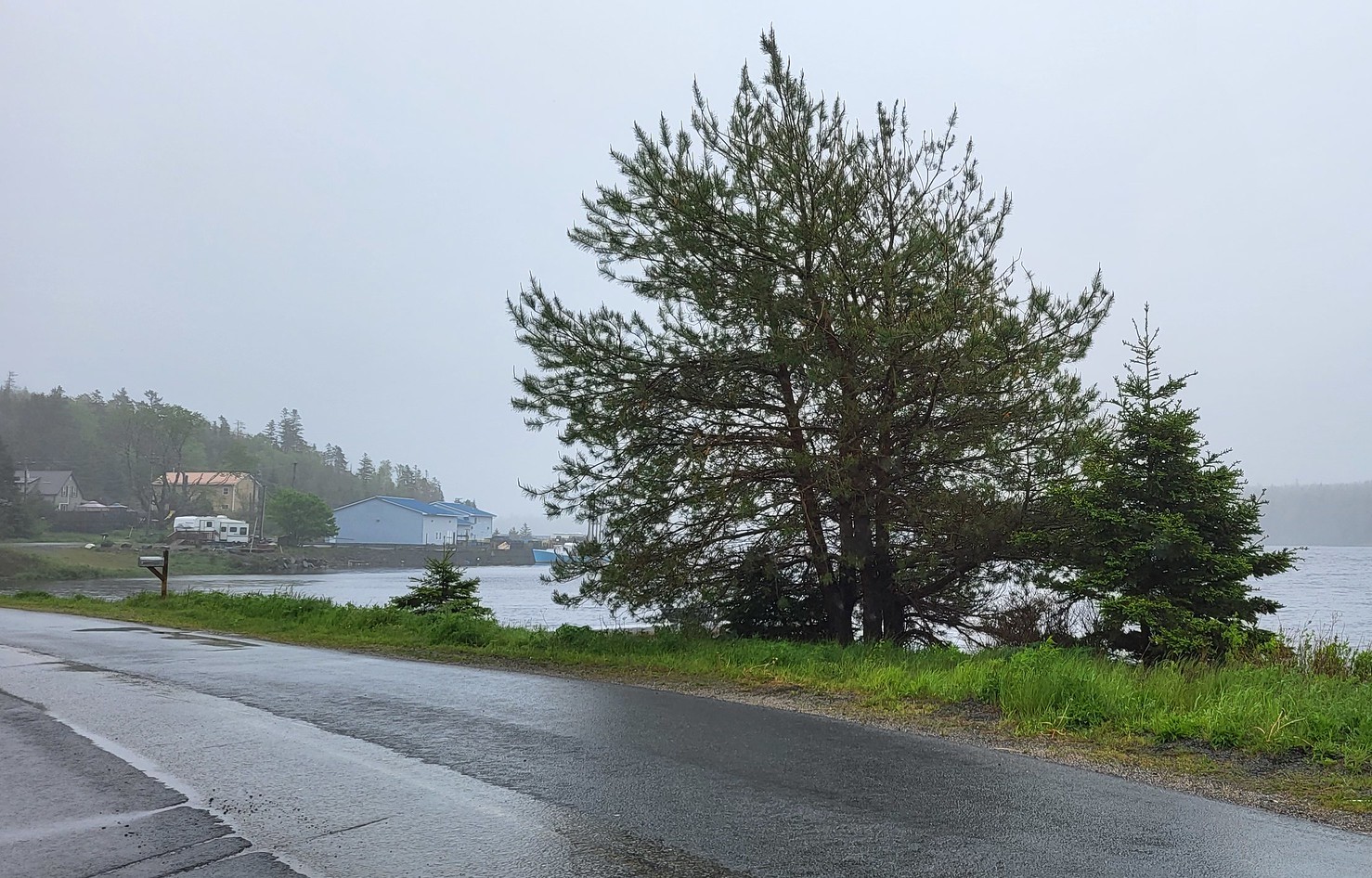 The View From Nova Scotia – FIRST DRAFT